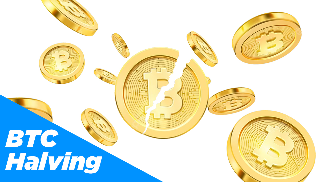 Bitcoin Halbierung 101: Der Schlüssel zum Krypto-Vermögen