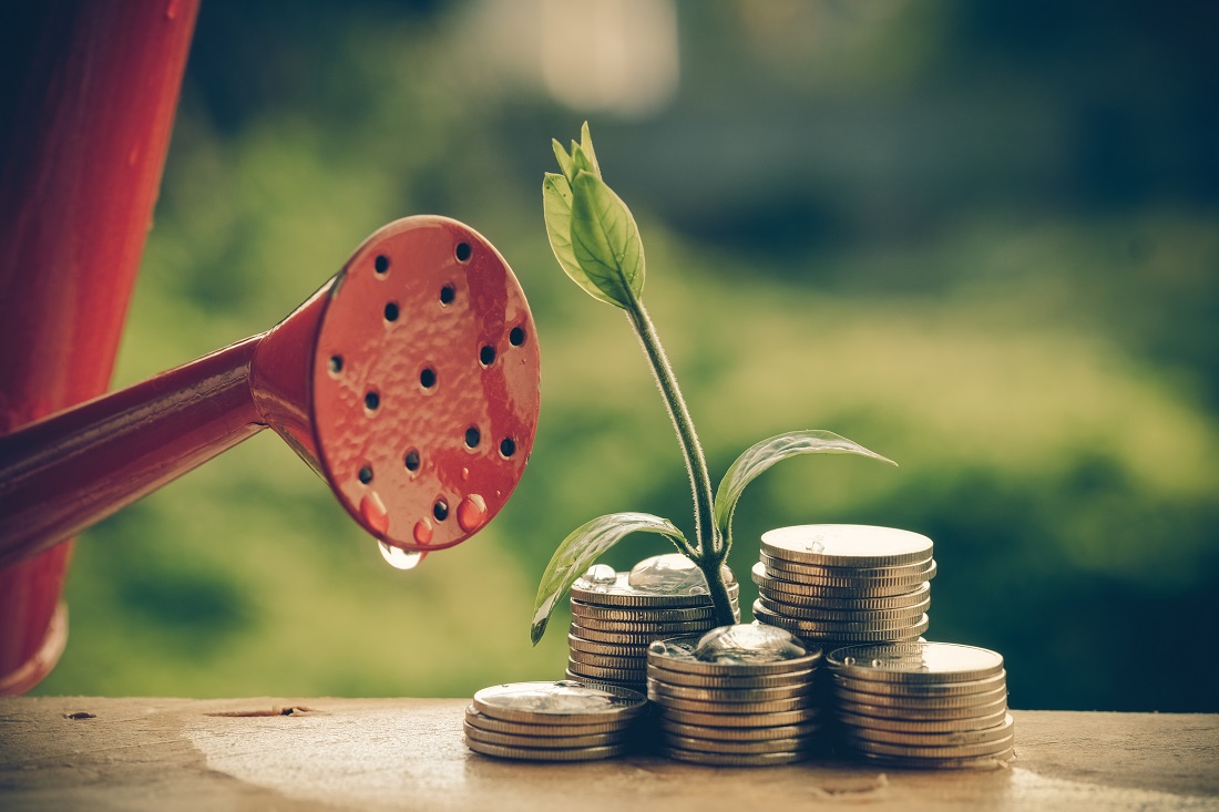 Pre Seed Funding: Navigating the Crypto Startup Landscape