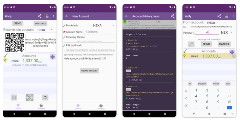 Nexa Coin: 6 Reasons Why This Crypto is a Game-Changer 🚀