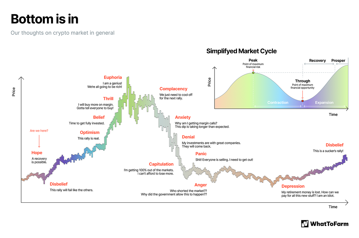 Cracking Crypto Cycles: 4 Crypto Phases to Market Mastery