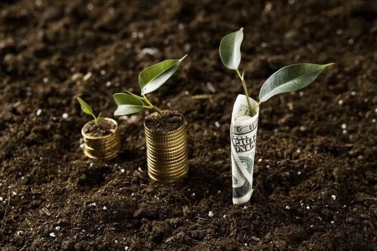 Pre Financiación Semilla: Cómo navegar por el panorama de las ...
